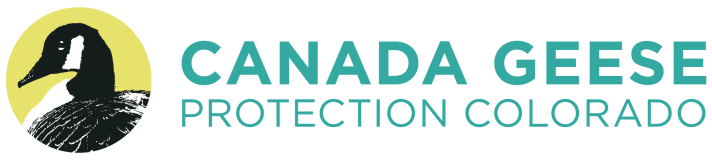 OUR STORY – CANADA GEESE PROTECTION COLORADO