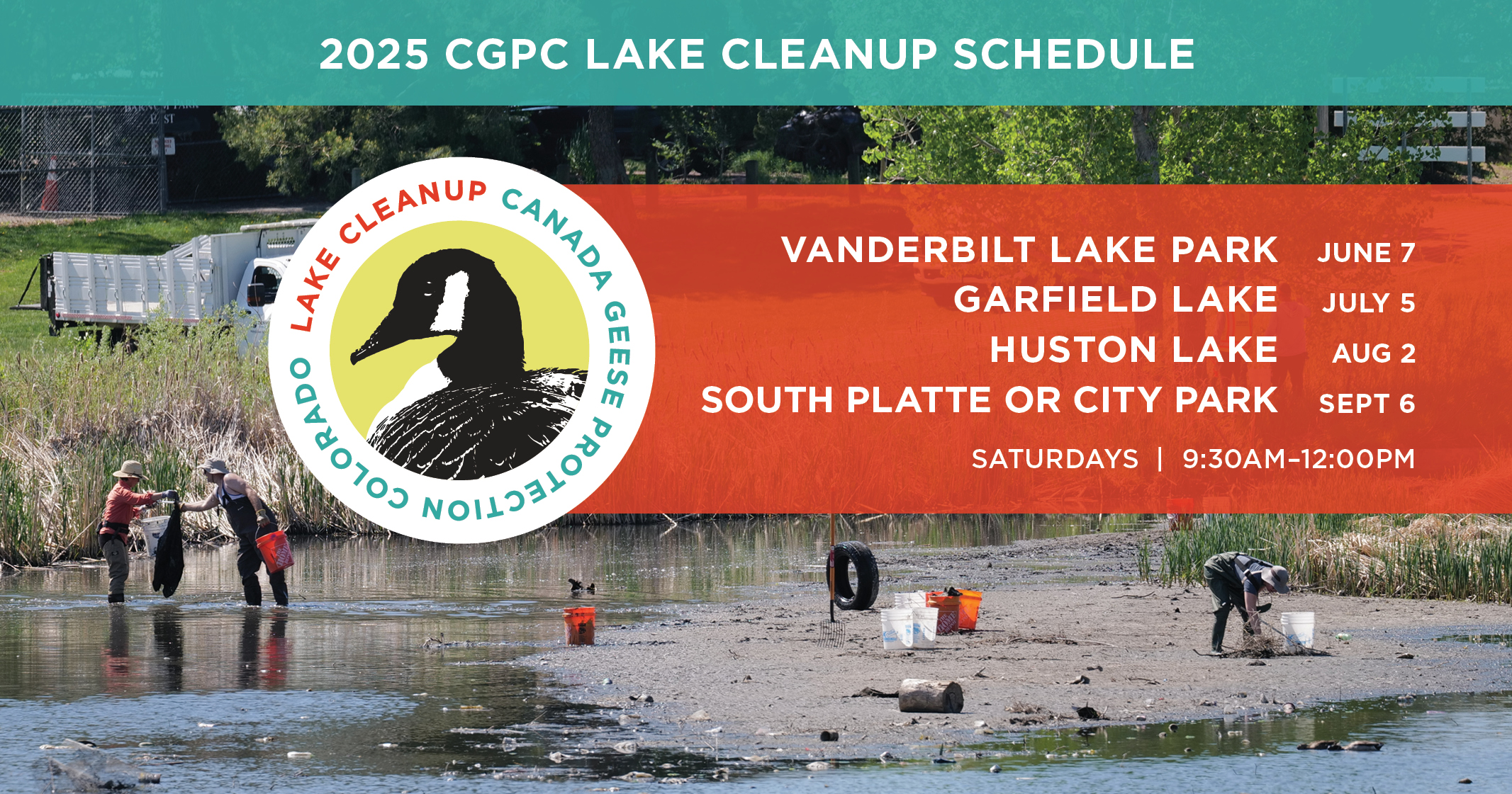 Lake Cleanup – CANADA GEESE PROTECTION COLORADO